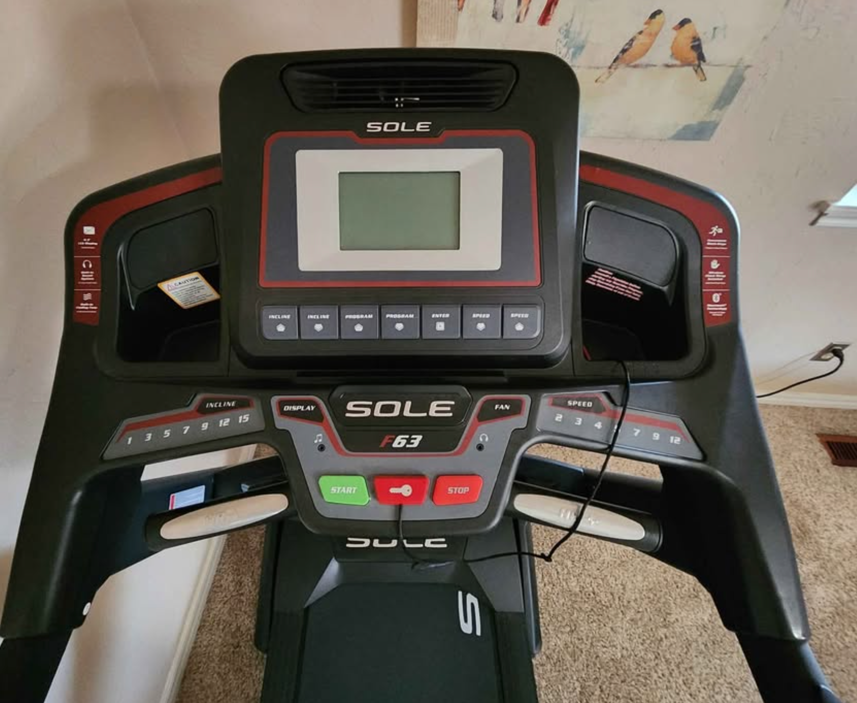 I bought Sole F63 Treadmill: here's my BRUTAL review - Snoopviews